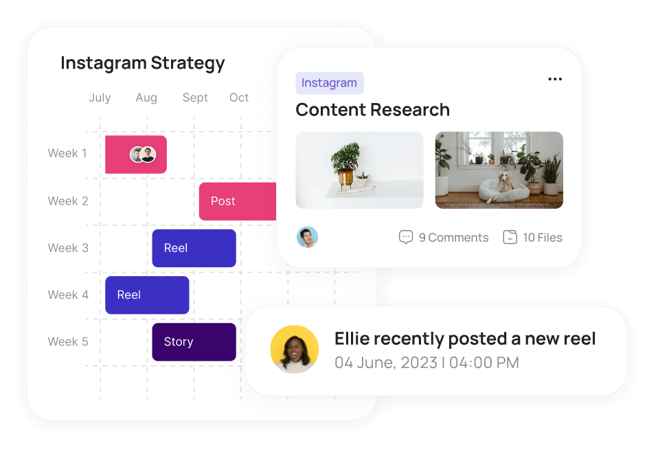 Free Instagram Competitor Analytics Tool - ContentStudio